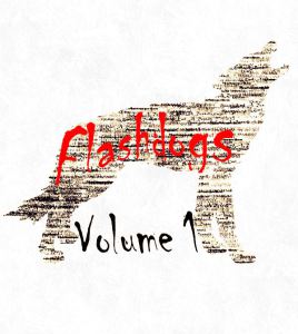 Spotlight: Flash Dogs – Metropolitan Dreams
